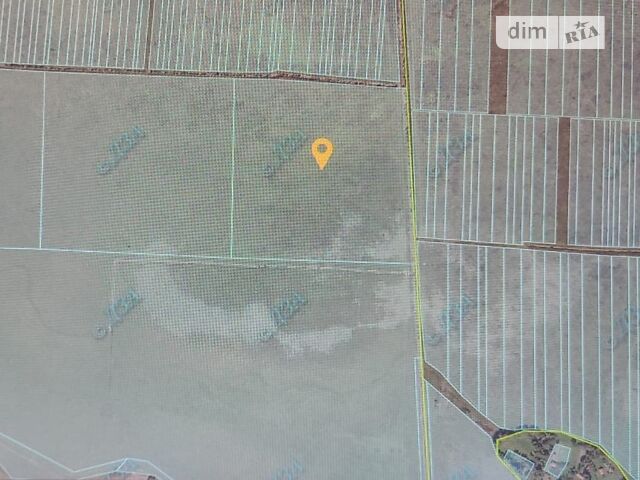 DIM.RIA – Оренда землі сільськогосподарського призначення в Верхньому Дорожові, Львівська ...