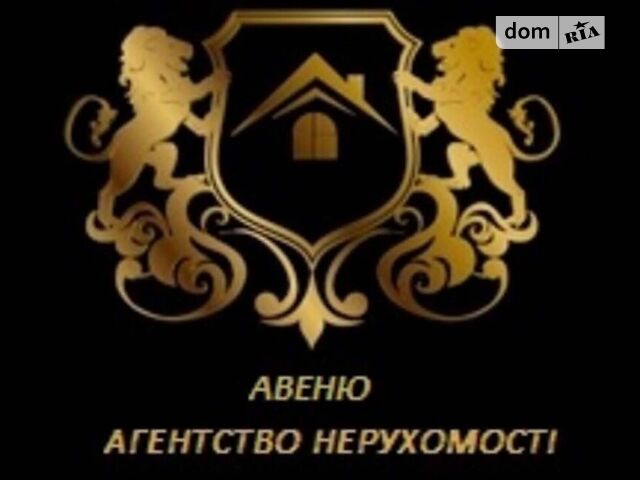 DIM.RIA – Продам будинок в Черняхівці, Кіровоградська обл., ДСК, 2x поверховий з ділянкою на 6 ...