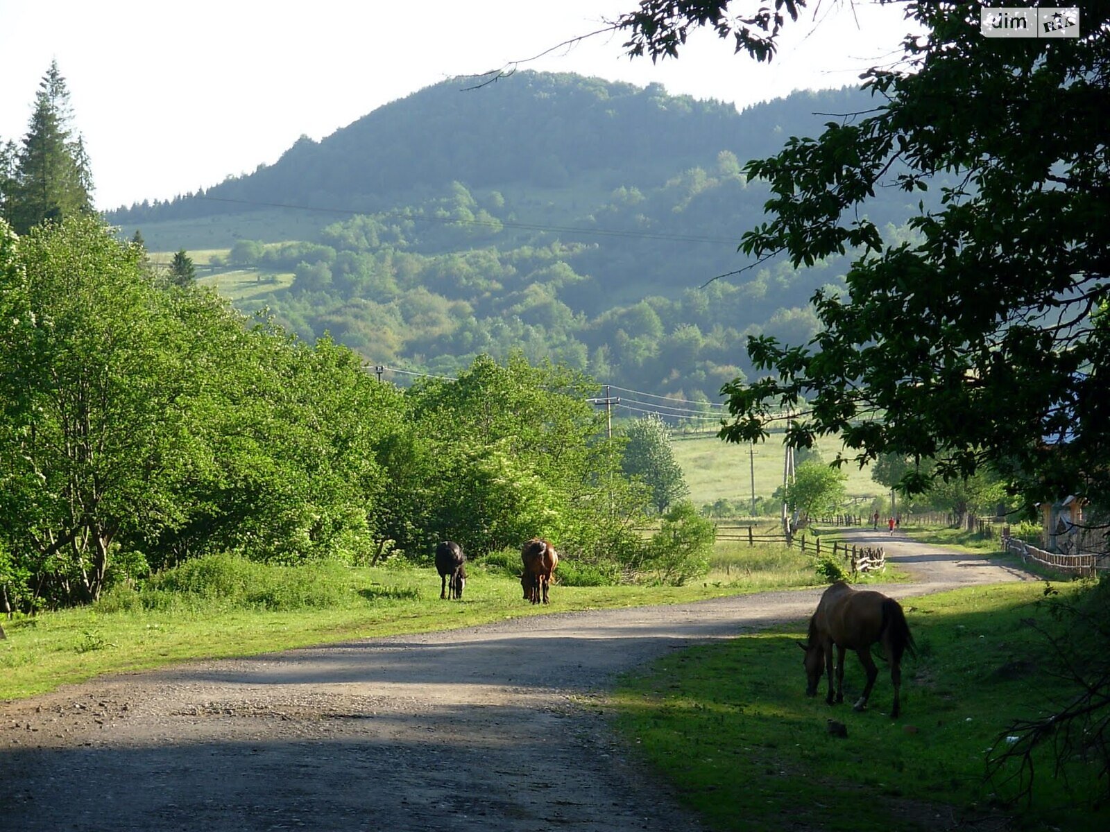 DIM.RIA – Продам будинок в Ужку, Закарпатська обл., - 4, 1но поверховий ...