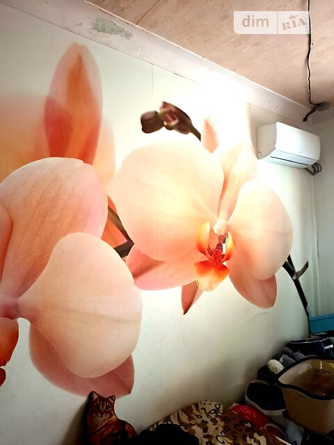 DIM.RIA – Продаю 4 комнатную квартиру, улица Дунаевского 33 район Мазепы Днепр, вторичка, цена ...