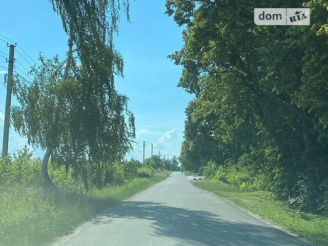 DIM.RIA – Продається земельна ділянка під житлову забудову зі світлом в Рівному, район Аеропорт ...