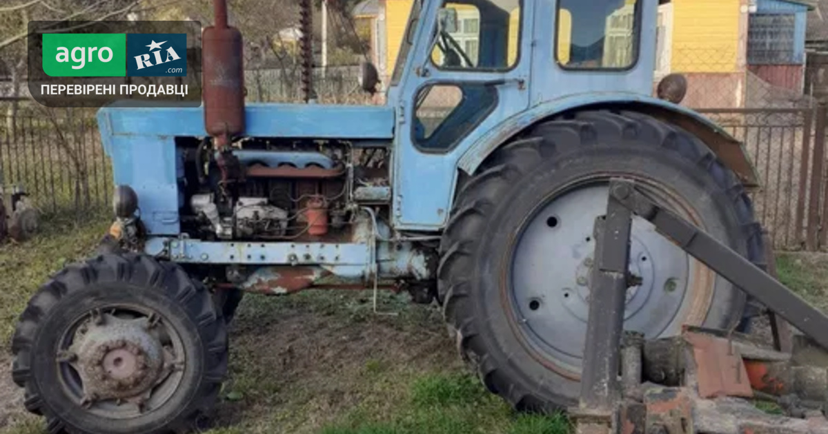 Купити Трактор ЛТЗ T-40AM 1983. Б/в. Ціна 4 000 $, Ковель, Волинська ...