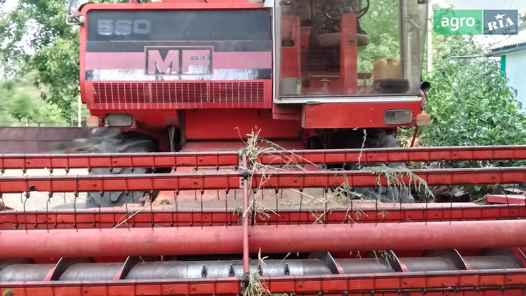 Купити Комбайн Massey Ferguson MF 560 1991. Б/в. Ціна 12 000 ...