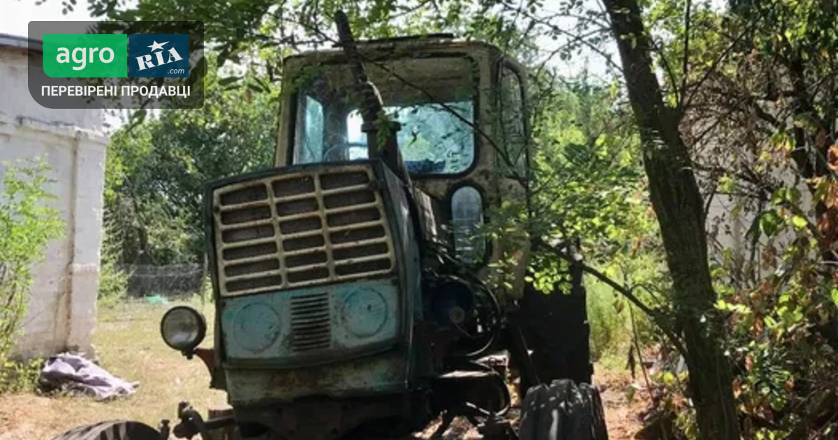 Купити Трактор ЮМЗ 6 1983. Б/в. Ціна 1 600 $, Ружин, Житомирська область на AGRO.RIA